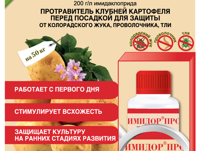 Обработка картофеля от колорадского жука перед посадкой: описание и ...